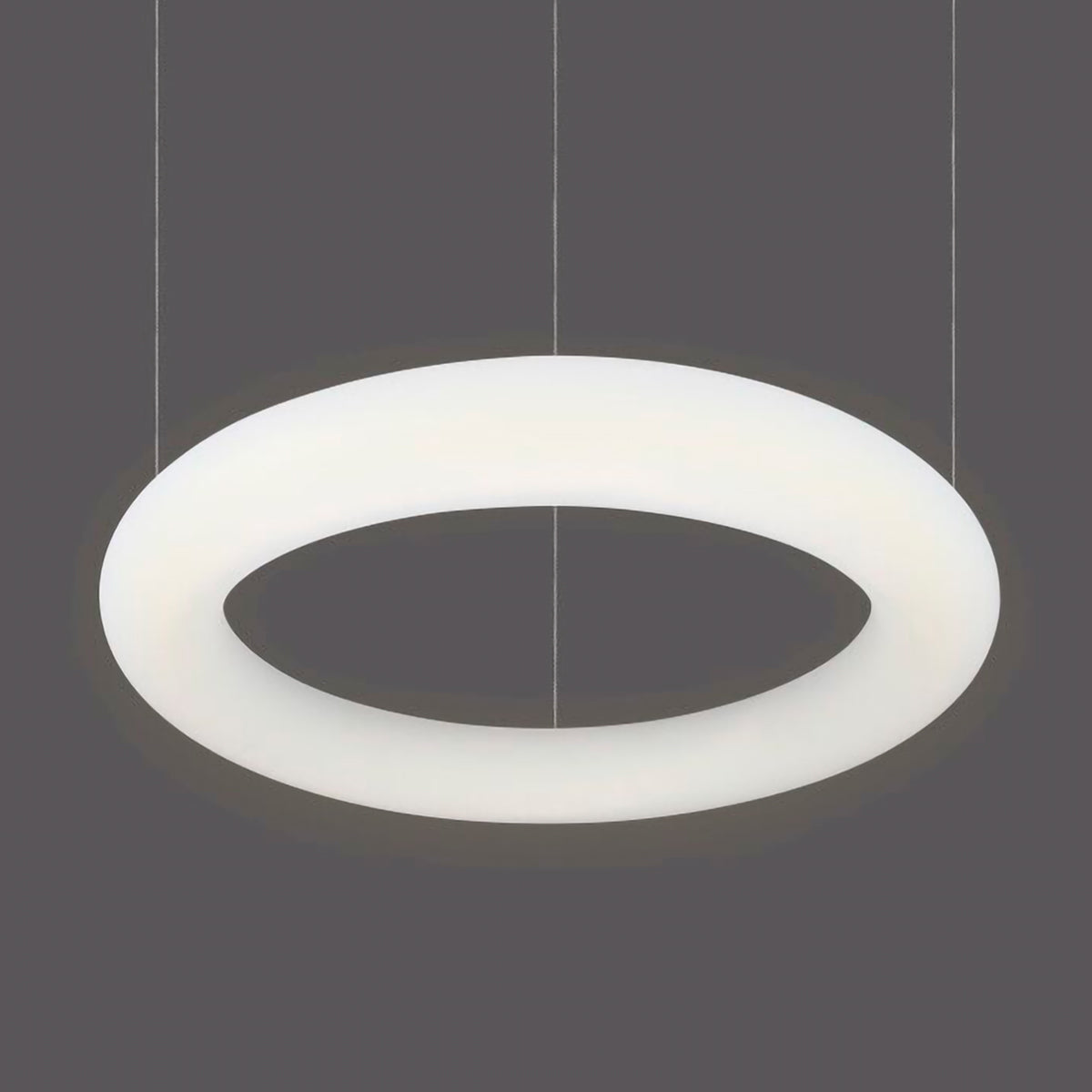 Fotons Donut Fixture (1.6ft to 6ft) 360-degree diffused illumination ...